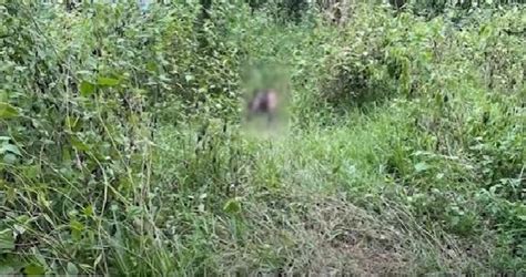 Bangkay Ng Babae Walang Saplot Pang Ibaba Itinapon Sa Manggahan Police Files Tonite