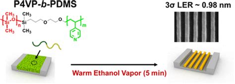 Block Copolymer With An Extremely High Block To Block Interaction For A