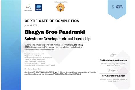 Pandrinki Bhagya Sree On Linkedin Unlocked The Salesforce Developer Virtual Internship By
