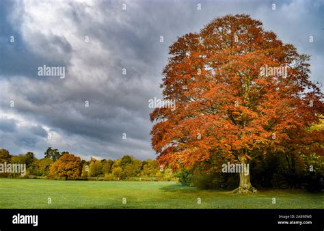 Shades Of Autumn Stock Photo Alamy Shades Of Autumn Stock Photo Alamy