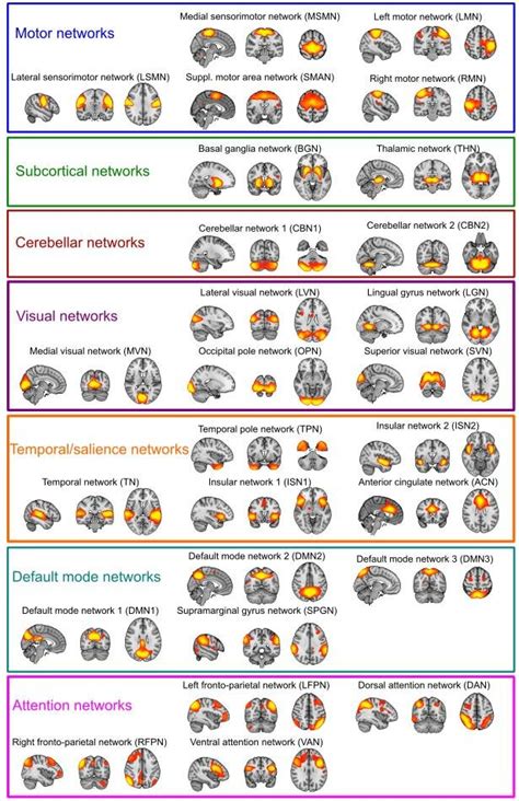 resting state networks spatial maps of the 27 rsns obtained from the