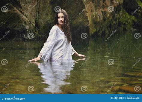 Forest Stream And Broken Tree Stock Image CartoonDealer Com 43246489