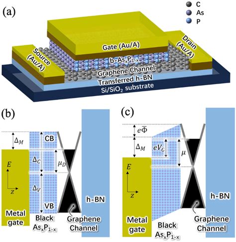具有石墨烯通道和黑砷 X P {1 X} 栅极层的场效应晶体管中太赫兹辐射的共振等离子体检测 Scientific Reports X Mol