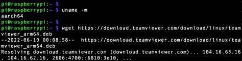How To Install Teamviewer On Raspberry Pi 4 Sb Bytes
