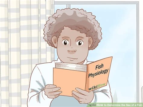 Ways To Determine The Sex Of A Fish WikiHow