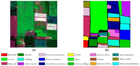 precise crop classification using spectral spatial location fusion