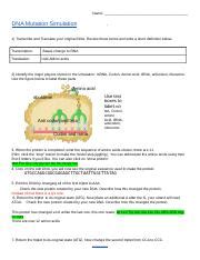 Mutation Simulation Worksheet.docx - Name: DNA Mutation Simulation - 1 ...