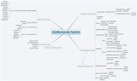 Cardiovascular System Xmind Mind Mapping Software