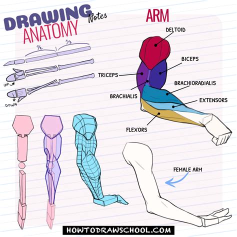 BLOG How To Draw Babe