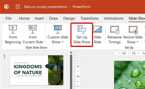 How To Make Mouse Pointer Like A Laser Pointer Vegaslide