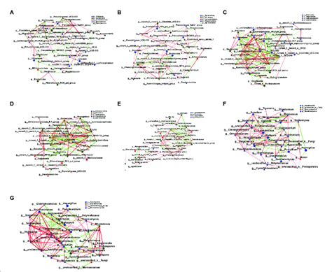 Interaction Network Diagram Of Fecal Microbiota In Each Group A The Download Scientific