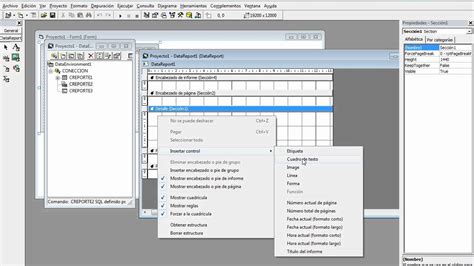 Visual Basic 60 00004 Reporte Con Sql 01 Ordenar Los Registros Youtube