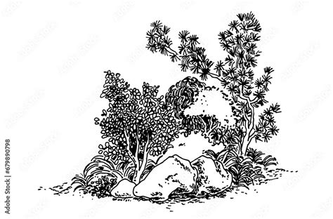 Minimal Sketch Style Cad Tree Line Drawing Side View Set Of Graphics Trees Elements Outline