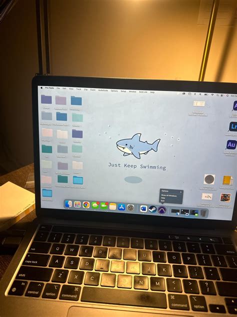 window not showing r protools