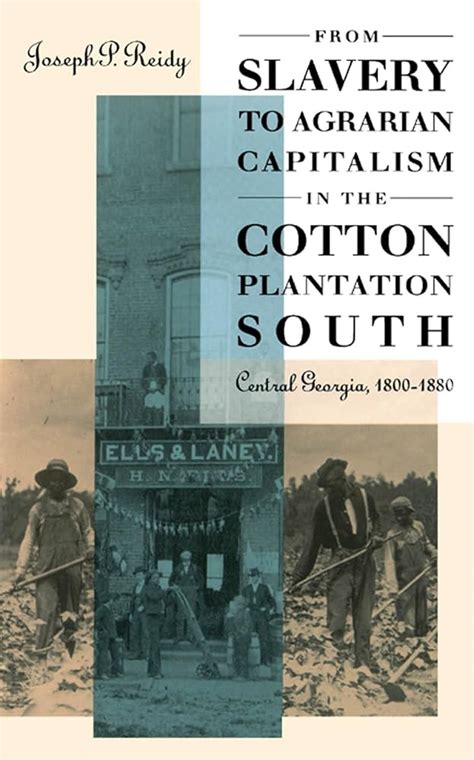 Slavery And Plantations The South