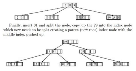 Solved Construct A B Tree For The Following Set Of Key Values Sol Answer