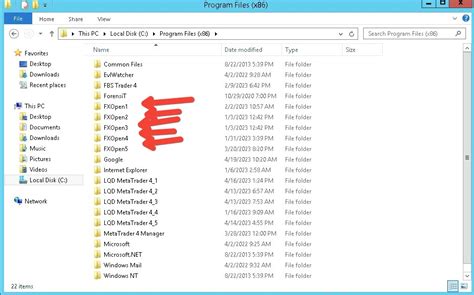 Metatrader 4 Portable Terminals