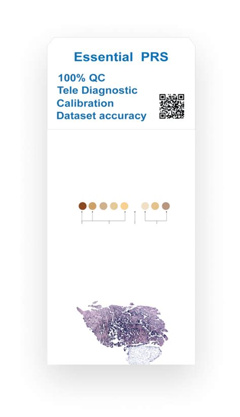 Immunohistochemistry Protocol Ihc Prs