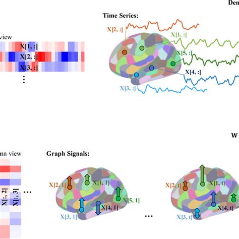 Estimation Of Functional Connectivity The Traditional Approach Top Download Scientific