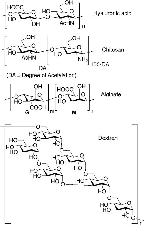 Main Polysaccharide Structures Used In Hydrogels Download Scientific