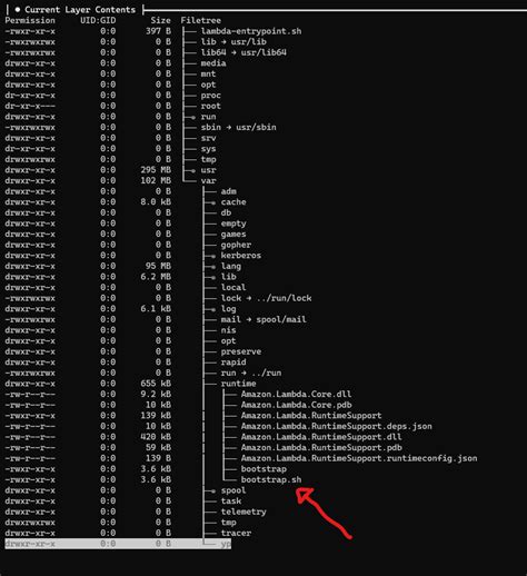 Contents Of Self Created Lambda Runtime Image Differes From Expected
