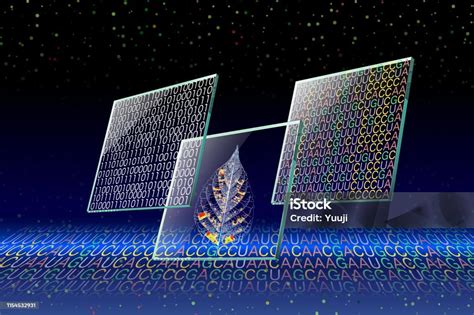 Imagen De Ingeniería Genética Y Microarray De Adn El Código Binario Y