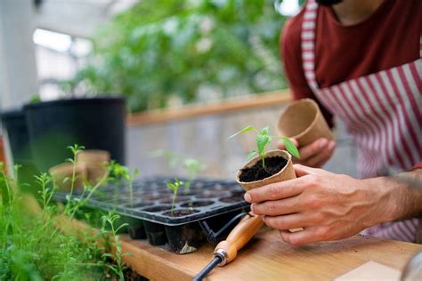 Masyarakat Perkotaan Wujudkan Ketahanan Pangan Melalui Konsep Urban Farming TrenAsia