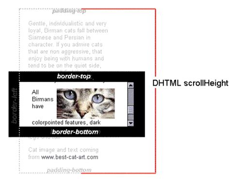 JavaScript获取浏览器元素屏幕的宽高尺寸 优雅的前端 SegmentFault 思否
