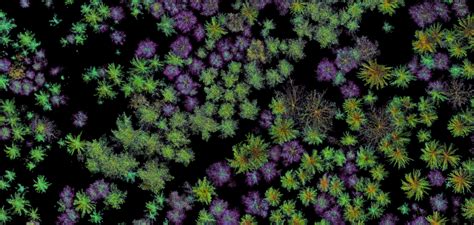 Phd Integration Of Multi Spectral Lidar And Imaging Eurosdr