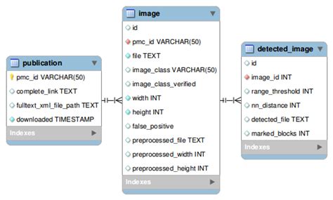 Database Structure Download Scientific Diagram