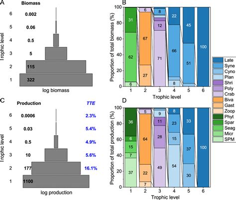 Biomass Pyramid Ocean