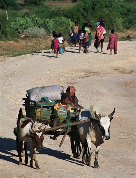 Madagascar Reef Doctor Marine Conservation