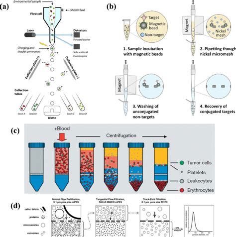 Schematic Illustration Of Fluorescence Activated Cell Vrogue Co