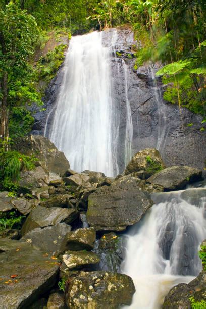 30 Fotos Bilder Und Lizenzfreie Bilder Zu Wasserfall La Coca Falls