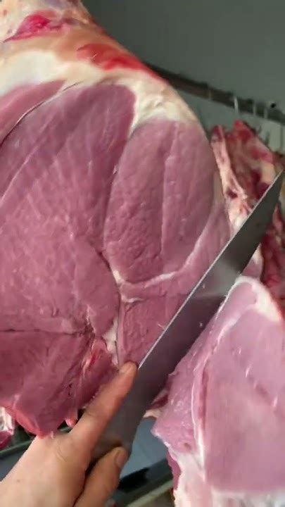 شرايح الفخده Youtube