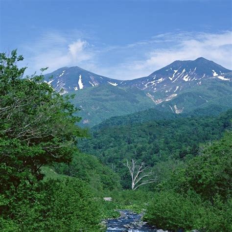 Opencv图像修复方法 Csdn博客