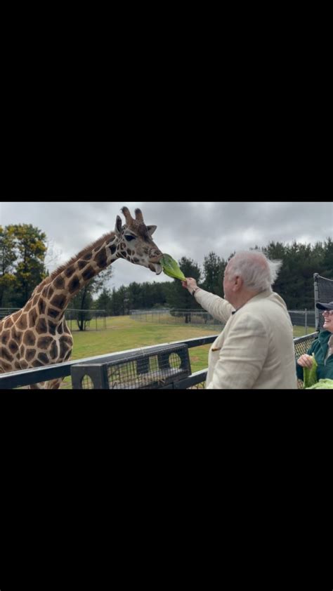 The Rabbit Scene Monty Python And The Holy Grail 🐰🩸🐇 Run Away 🐰🐇🩸 By John Cleese What