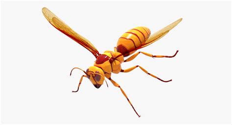 3d Executioner Wasp Model Turbosquid 1400350