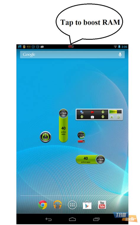 Ram Optimizer Pikolpak