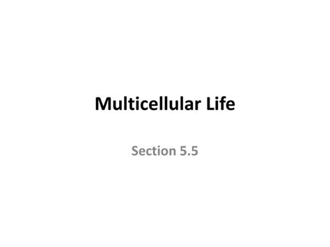 PPT Multicellular Life PowerPoint Presentation Free Download ID 1869163