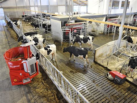 Lely Vector Automated Feeding Robot Dundas Agri Systems