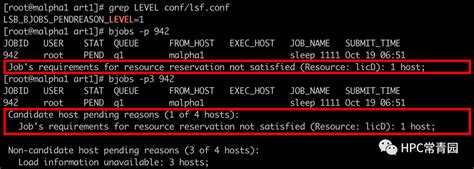 lsf实践专题（36）：对lsf中作业的pending reason进行分类查看 lsf pending job execution