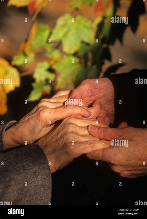 Mature Couple Hands Stock Photo Alamy