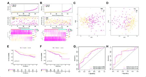 Validation Of The Cuproptosis Related Signature In The Gse14520 And