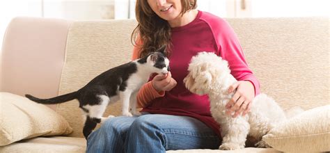 5 Reasons to Adopt a Shelter Dog or Cat