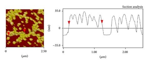 Section Analysis Of Dpg After High Temperature Aging Download