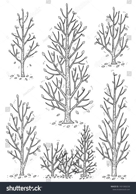 Tree Branches Outline Images Stock Photos Vectors Shutterstock