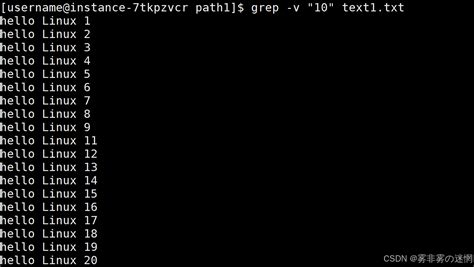 《从终端到内核：linux 指令体系的入门与技术解构（第二篇）》 Csdn博客