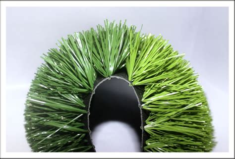 利蒙塔运动（惠州）有限公司