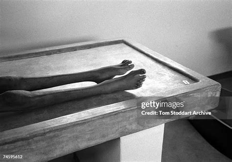 Lies In The Morgue Photos And Premium High Res Pictures Getty Images